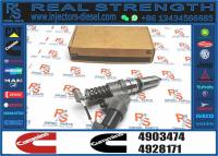 China Diesel Fuel Injector 4903319 3411845 4061851 4902921 4902924 4903084 4903319 4903472 4903474 4928171 4928517 for QSM11 Engine for sale