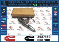China Excavator Accessories Fuel Injector 3080766 3083622 3083846 3087560 3095086 for Cummins QSN14 N14 for Construction Machinery for sale