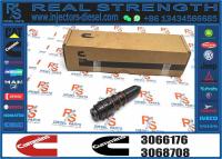 China Engineering Machinery PTN855 Truck Engine System Accessories 3013725 3064881 3066176    Diesel Fuel Injector for sale