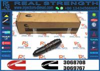China Machinery PTN855 Truck Engine System Accessories 3013725 3064881 3066176    3068708  Diesel Fuel Injector for sale