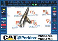 China Short Delivery Time New Diesel Fuel Injector 2645A718 2645A734 2645A747 292-3780 10R-7672 for CAT 323D Engine Model 2KD for sale