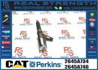 China Short Delivery Time New Diesel Fuel Injector 2645A718 2645A734 2645A747 292-3780 10R-7672 for CAT 323D Engine Model 2KD for sale