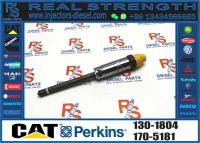 China Excavator Parts Nozzle Injector 4W-7017 4W-7018 4W-7019 7W-7032 8N-7005 129-1351 130-1804 130-1807 130-5187 170-5183 Injector for sale