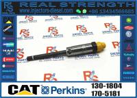 China Excavator Parts Nozzle Injector 4W-7017 4W-7018 4W-7019 7W-7032 8N-7005 129-1351 130-1804 130-1807 130-5187 170-5183 Injector for sale
