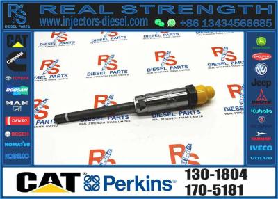 China Excavator Parts Nozzle Injector 4W-7017 4W-7018 4W-7019 7W-7032 8N-7005 129-1351 130-1804 130-1807 130-5187 170-5183 Injector for sale