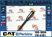 China Excavator Parts Nozzle Injector 4W-7017 4W-7018 4W-7019 7W-7032 8N-7005 129-1351 130-1804 130-1807 130-5187 170-5183 Injector for sale