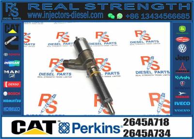 China Diesel Common Rail Fuel Injector 292-3780 320-0655 320-3800 2645A718 2645A751 2645A752 for 321D Excavator for sale
