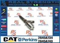 China Excavator Parts Nozzle 323D E323D 2645A747 C6.6 Fuel Injector 320-0680 2923780 2645A747 2645A734 for caterpillar for sale