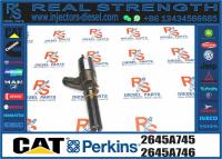 China Fuel Injector 2645A745 PK2645A717 2645A733 320-0670 2923770 306-9370 3101852 10R-7670 for CAR Caterpillar Perkins C6.6 1106D for sale