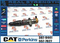 China New Condition Excavator Parts C9 Diesel Fuel Injector 20R-9079 2OR-8071 20R-8066 295-9166 387-9441 20R-8067 for C7 for sale