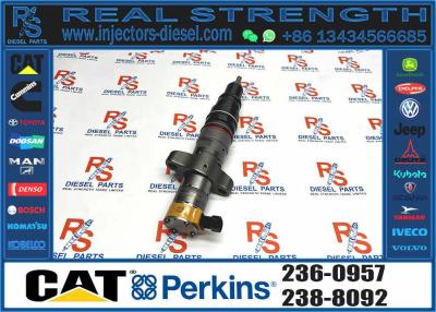 China Excavator Accessories Fuel Injector 225-0117 236-0957 238-8092 240-8063 242-0857 245-3516 for CAT C9 for Construction Machinery for sale