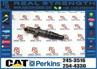 China 245-3516 2453516 Common Rail Fuel Injector for huayihe C9 Engine 320DL 320DLN 320D2 320D2L 320E 320EL 323EL 336D2 345D2 for sale