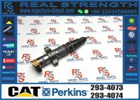 China Common Rail Fuel Injector 293-4073 Auto Motor Part 293-4073 For Cat C9 330d 340d Excavator Diesel Engine Parts Factory Price for sale