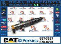 China Hot Sale Fuel Injector 557-7637 T434154 387-9433 557-7633 328-2574 459-8473 3879433 3282574 5577633 for C9 E330D E336D More for sale