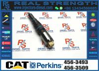 China Original Brand New Domestic Engine Parts C9.3 Fuel Injectors 460-8213 456-3509 4563493 456-3493 3451974 for sale