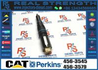 China Rail Fuel Injector 294-3027 294-3028 328-9644 328-9645 328-9649 392-9044 456-3544 456-3545 20R-5079 20R-5078 for sale