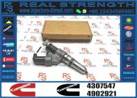 China Construction Machinery Diesel Fuel Injector 4307547 3411756PX 3411756RX 3411756 for Engine ISM QSM M11 for sale