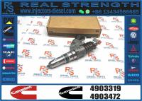 China Injector Control Valve M11 N14 3034407 for 4026222 4903472 4903319 4061851 3411756 3411754 Injector for sale