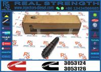 China 3016676 3052255 3053124 Genuine Brand New Diesel Engine Fuel Injector for KTA19 Construction Machinery for sale