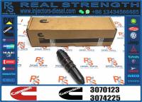 China QSM11 ISM11 M11 Construction Machinery diesel Engine Parts Fuel Injector 3064881 diesel Injectors 3064881 3070123 for sale