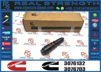 China 3076132 3095773 3077715 3076702 3076703 3076700 3077760 3068859 for Genuine Fuel Injector for Diesel Engine Construction for sale