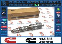 China Injector Nozzle Assembly 4927348 4326783 4902974 4088431 QSK19 QSK23 QSK60 Engine Series for sale