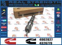 China Mining High Pressure 4902827 4326780 Fuel Injection Nozzles 4088431 4076533 QSK23 QSK60 Injector Valves for sale