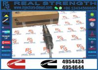 China X15 Fuel Injector 4954434 4928260 4921683 4088725 4088665 4088327 4088301 4062569 Engine Fuel Injector for sale