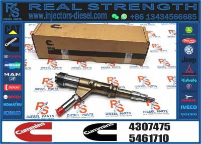 China 4307475 5491515 Fuel Injector Common Rail Injector for ISG ISG12 Engine Construction Machinery Parts for sale
