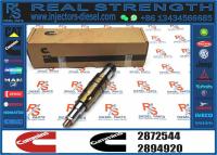 China High Quality Common Rail Injector Diesel Fuel Injector 2872544 for Engine Parts for sale