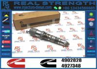 China Fuel Injector 4902827 4902828 for Cum-mins QSK23 QSK60 Diesel Engine for sale