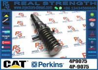 China Fuel Injector 4P-9075 0R-3051 4P9075 0R3051 for for sale