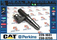 China High Quality Auto Parts Common Rail Fuel Injector 229-1631 2291631 for sale