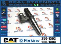 China High Quality Auto Parts Common Rail Fuel Injector 250-1302 2501302 for sale