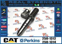 China High Quality Auto Parts Common Rail Fuel Injector 250-1312 2501312 for sale