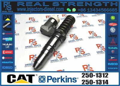 China High Quality Auto Parts Common Rail Fuel Injector 250-1312 2501312 for sale