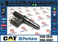 China Diesel Fuel Injector 250-1314 2501314 10R-1290 10R1290 Injection for sale