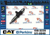 China Diesel Common Rail Injector 295050-1810 418-3229 4183229 for CAT for sale