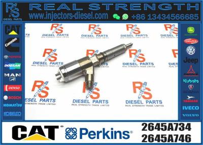China Excavator Part Fuel Injector 2645A718 2645A734 2645A747 320-0680 Fit for for sale