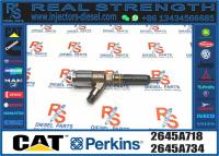 China Engine Fuel Injector 292-3780 2923780 2645A718 for CAT System for sale
