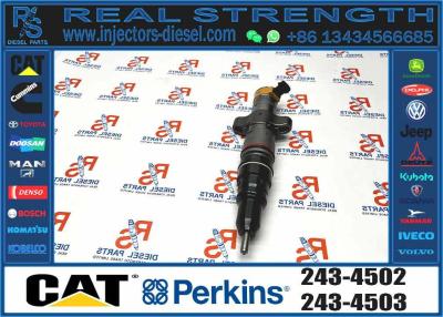 China Diesel Fuel Injector 243-4502 10R-4761 For for sale