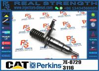 China New Condition C-aterpillar Engine 3116 Injectors 7E-8727 0R-8461 7E-8729 0R-8469 7E-8952 0R-8465 Diesel Fuel Type for sale
