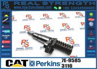 China 7E-9585 Engine Fuel Injector for 20R-2056 7E-8729 E320L S6K 7E9585 IT18F IT28F RT80 RT100 7E9585 for sale