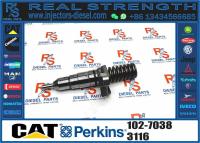China High Quality Common Rail Fuel Injector 102-7038 105-1694 107-1230 for C-aterpillar Sprayer Excavator 3116 for sale