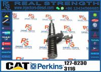 China Diesel Injectors for Cater-pillar 3114 and 3116 Engines 127-8230 4P-2995 0R-8471 7E-9585 1278230 4P2995 0R8471 7E9585 for sale