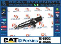 China Excavator Parts Suppliers Diesel Fuel Injector 7E-9585 7E9585 127-8209 7E-8952 4P-2995 4P2995 for C-aterpillar Engine 3116 for sale