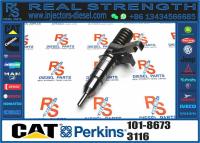 China 127-8213 127-8216 Injector 3114 3116 Engine Fuel Injector 127-8225 127-8222 101-8673 127-8207 127-8209 for sale