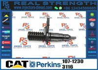 China Diesel Fuel Injector 1071230 107-1230 for Engine 3114/3116/3126 for sale