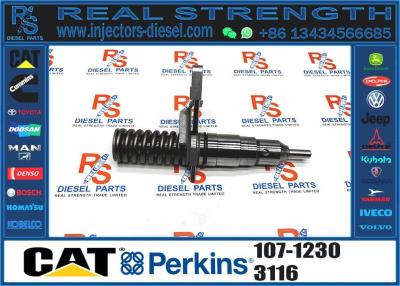 China Diesel Fuel Injector 1071230 107-1230 for Engine 3114/3116/3126 for sale
