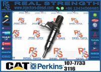 China 107-7733 271-8669 4P-1731 Excavator Engine Parts Cat Engine diesel Injector 3114 3116 Injectors for CCaterpillar for sale